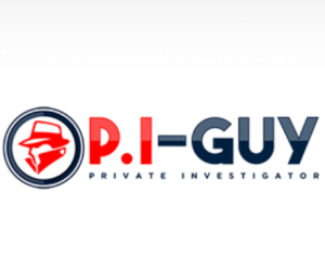 PI Guy Franchise for Sale | Services Franchises Opportunities