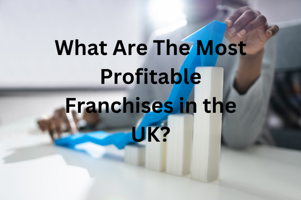 Most Profitable Franchises Reviewed | Franchise UK